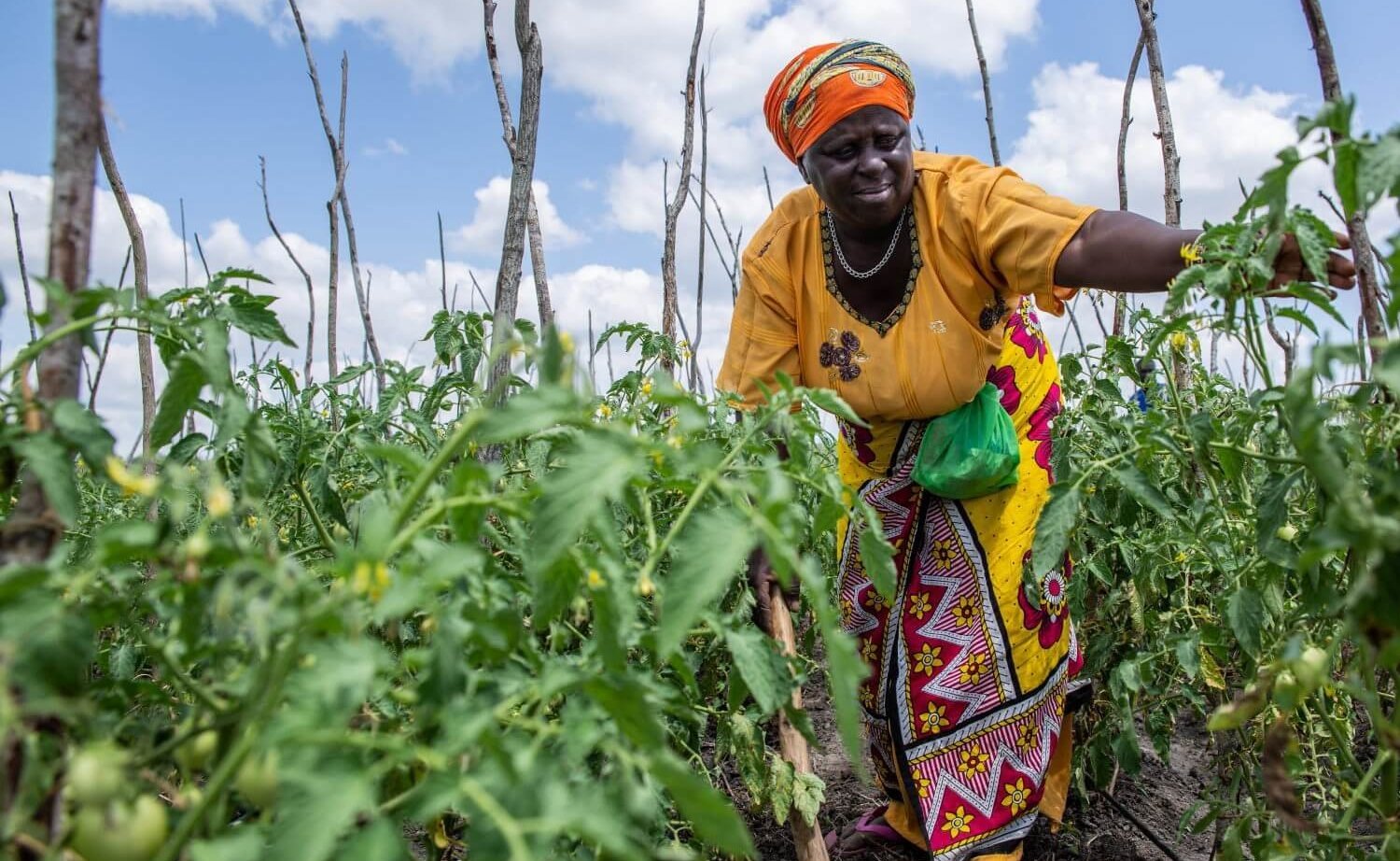 Welcome to SUN Civil Society Network